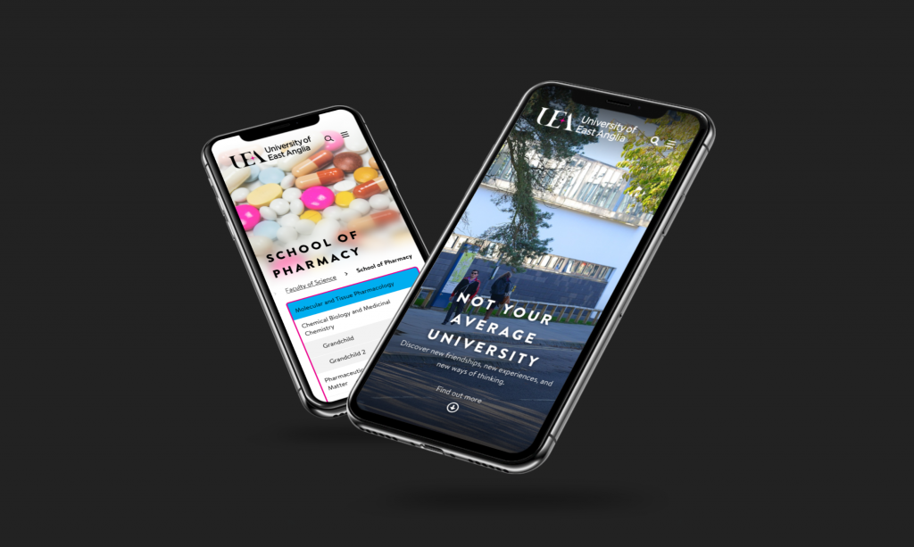 Working with UEA on their flagship website - SMILE